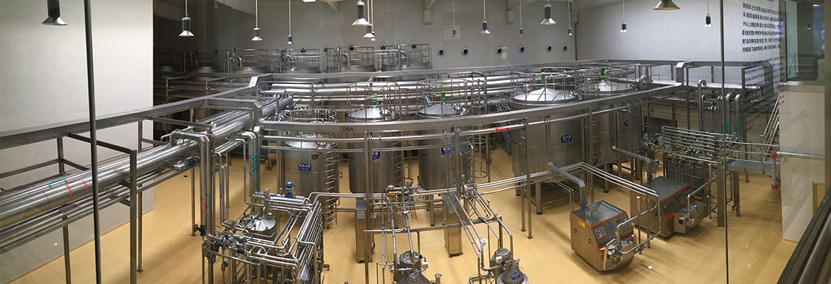 Construction begins on one of China's largest infant milk formula ...