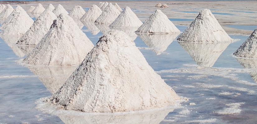 Engineer selected for BCI Minerals' salt and potash project ...